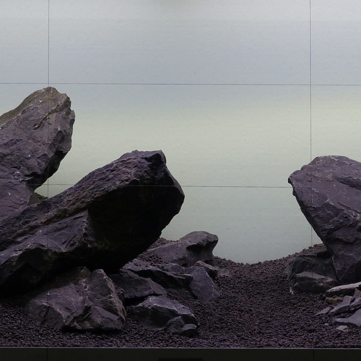 Liquid Nature - Aquarium Shop & Gallery – Wien | Aquascaping