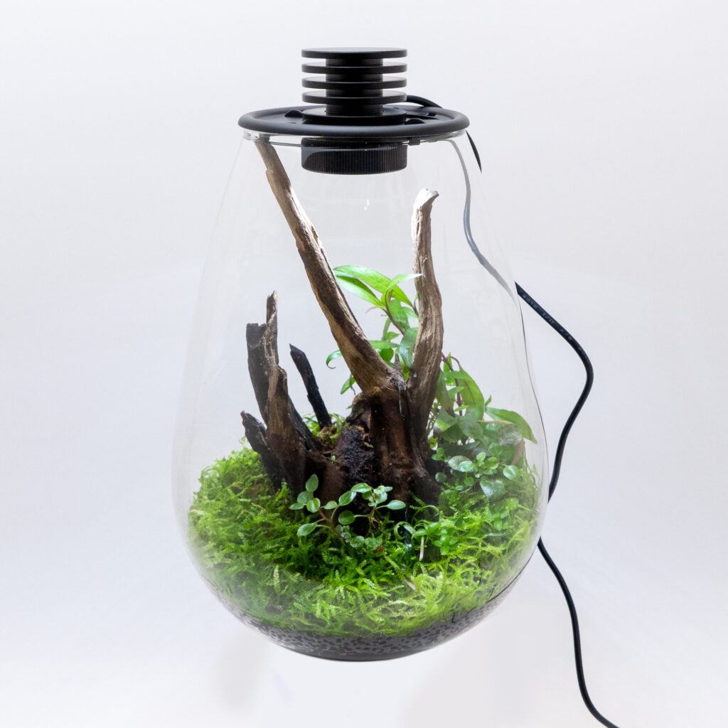 Bioloark - Bio Bottle SD - Liquid Nature